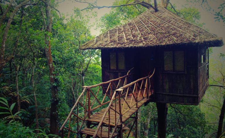 7 Most Picturesque Tree Houses Across The Country You Need to Check Out ...