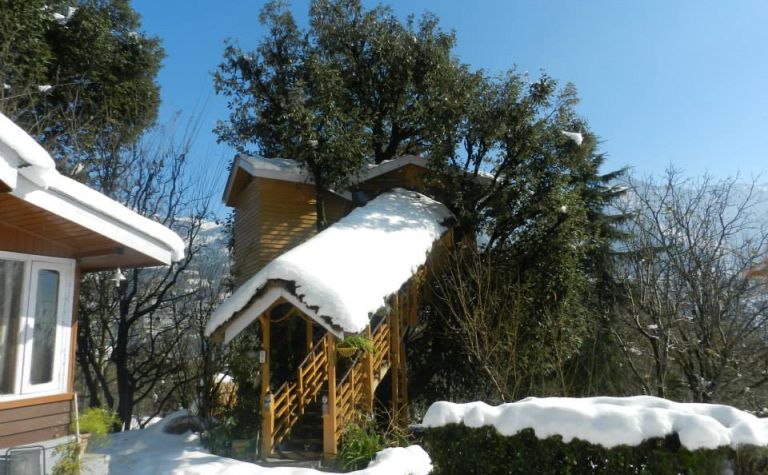 7 Most Picturesque Tree Houses Across The Country You Need to Check Out ...