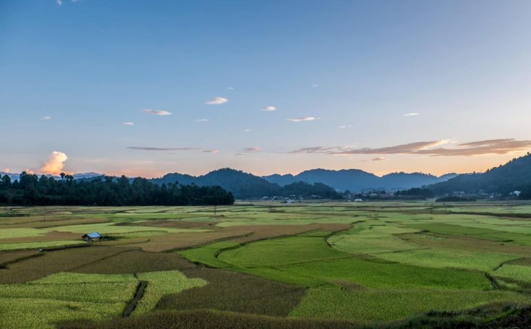 A UNESCO Heritage Site, Here's Why You've Got to Visit Ziro Valley, The ...