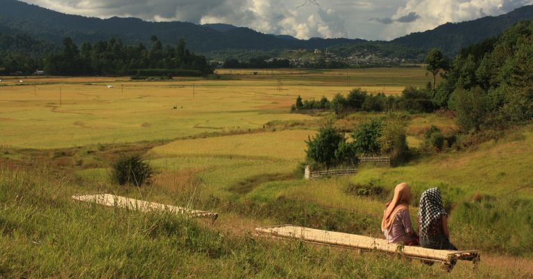 A UNESCO Heritage Site, Here's Why You've Got to Visit Ziro Valley, The ...